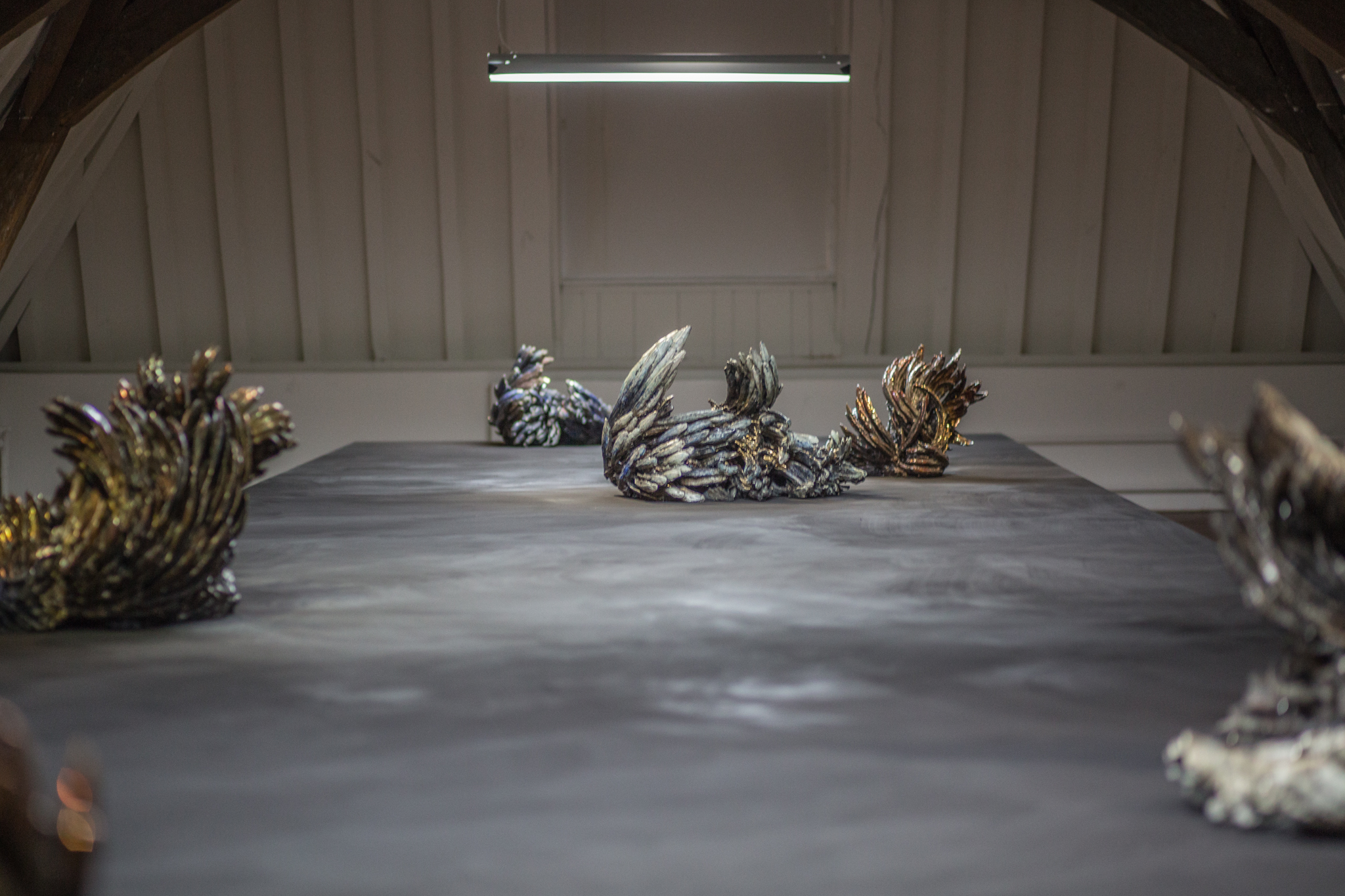 Anne Wenzel: Chasing silence