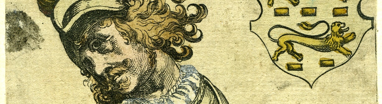 The Fries Museum in Leeuwarden